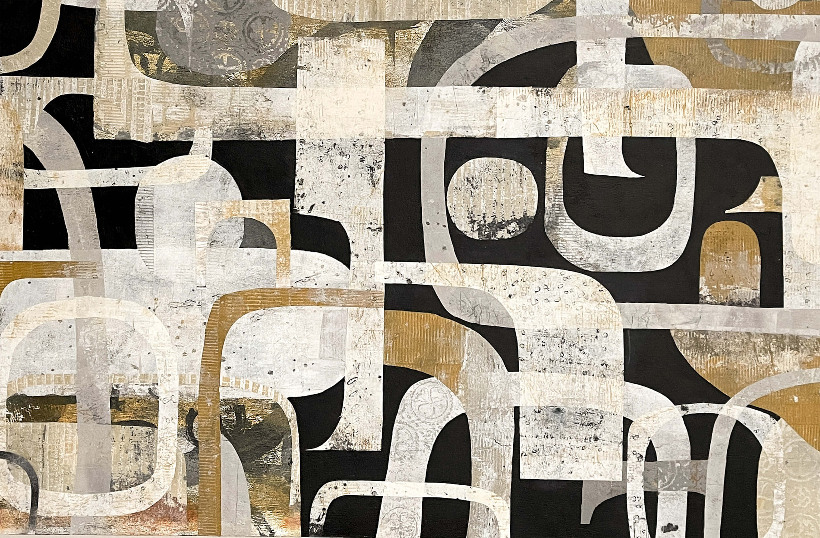 Carla Cohen Studio – carla cohen studio